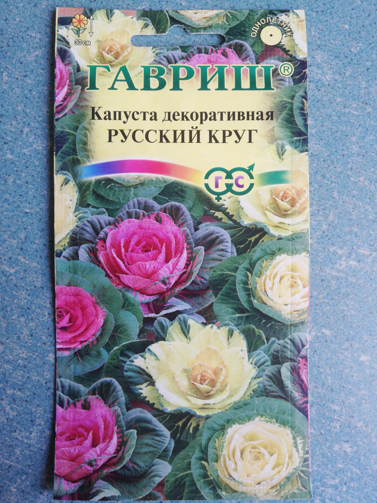 Семена. Капуста декоративная «Русский круг», 0,1 г — Однолетние цветы ...