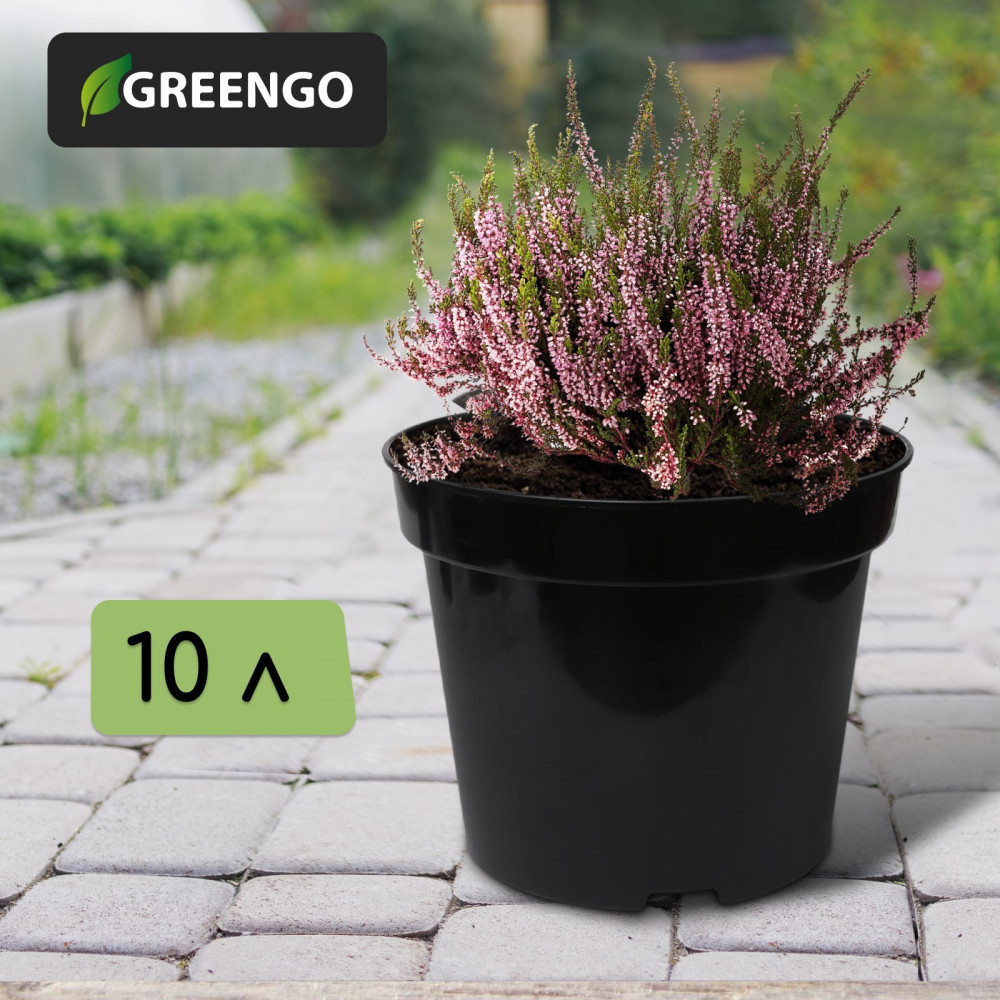 Горшок для рассады, 10 л — Greengo