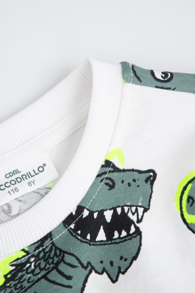 Футболка для мальчиков, с принтом, 104 — Coccodrillo